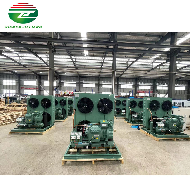 Air Cooled Condenser Unit Cold Storage Refrigeration Unit from China ...