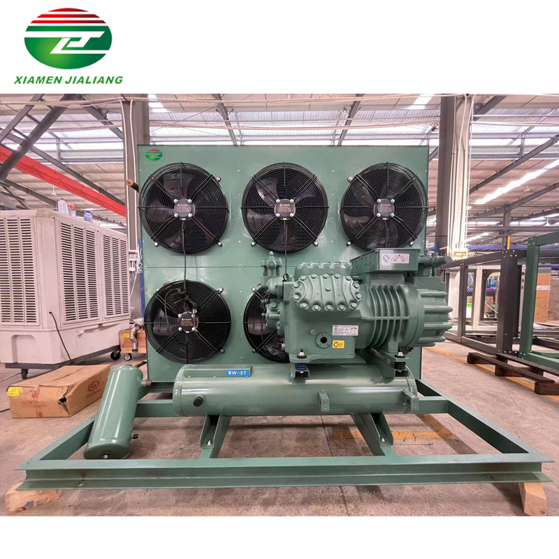 Air Cooled Condenser Unit Cold Storage Refrigeration Unit from China ...